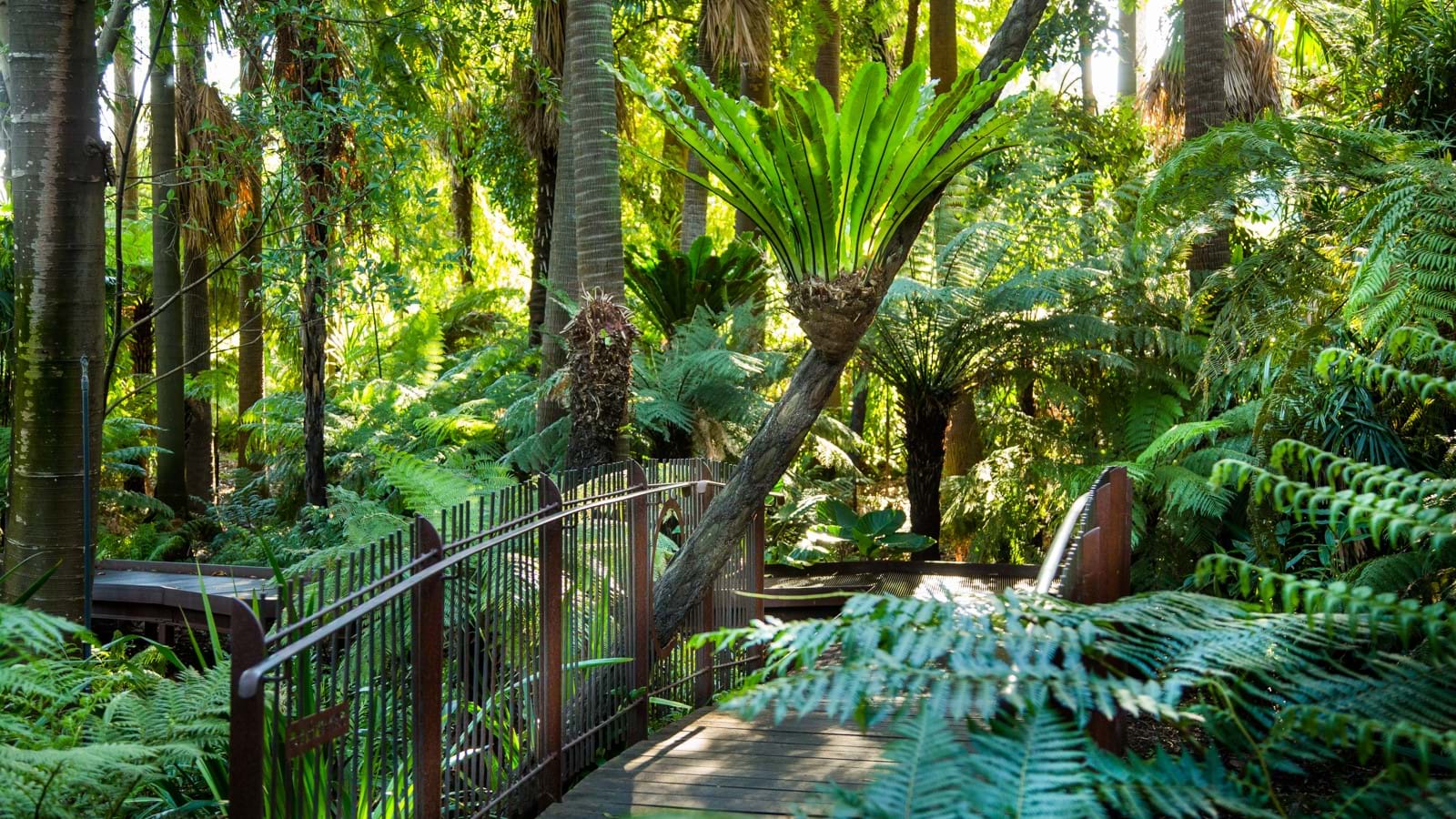 Royal Botanic Gardens Melbourne | Australia Cruise Association Royal Botanic Gardens Melbourne | Australia Cruise Association